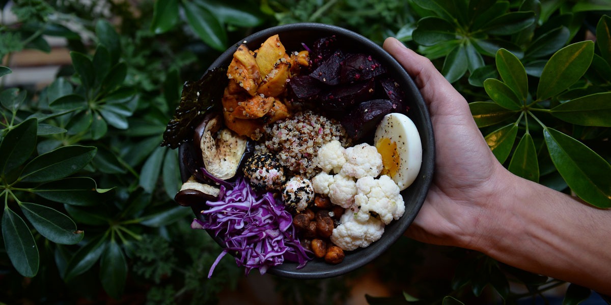 Green Junkie, working toward a zero-waste kitchen - Hospitality News ...