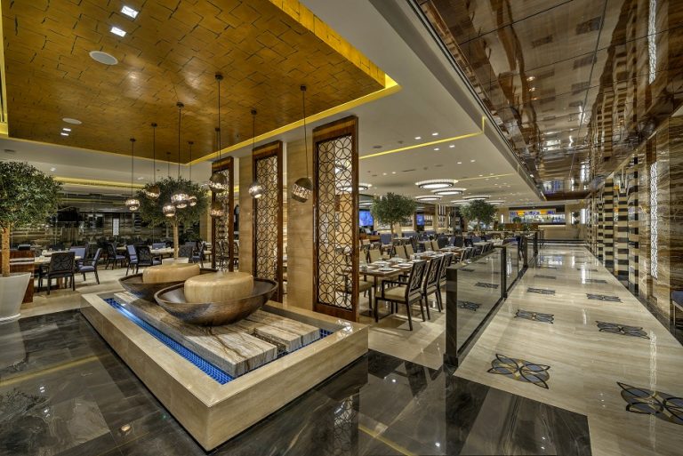 Interview with Fadi Safadi