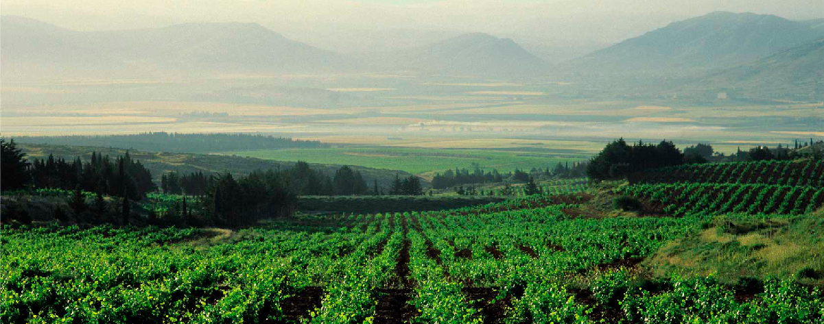 Chateau Kefraya makes the list of The World’s Best Vineyards