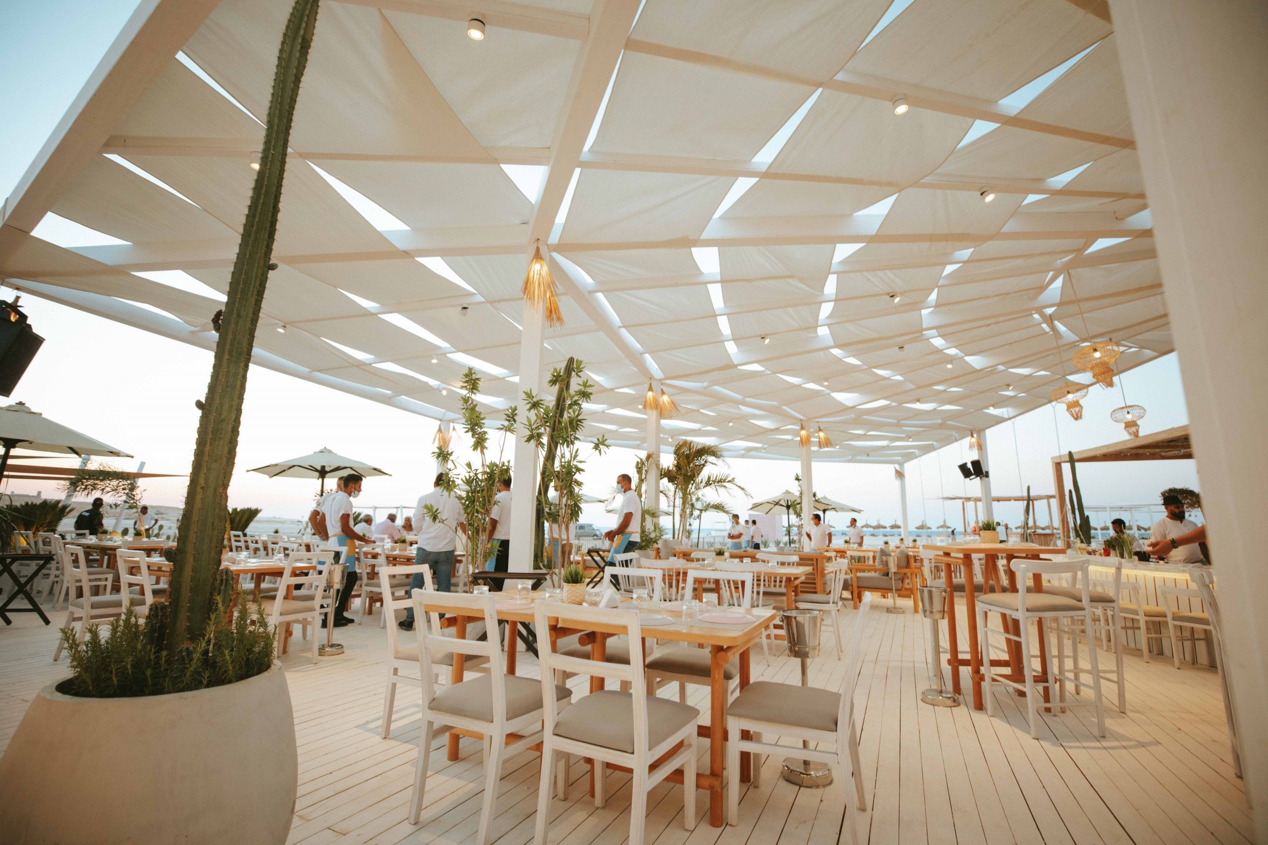 Grecco opens in Egypt