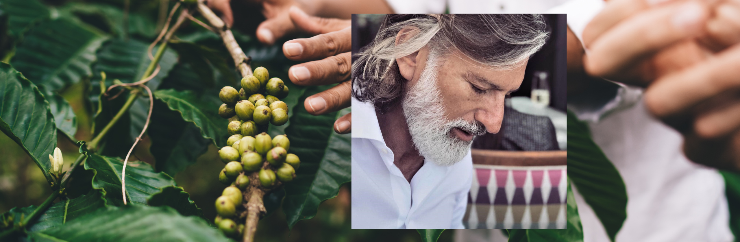 Why the coffee value chain needs a major rethink